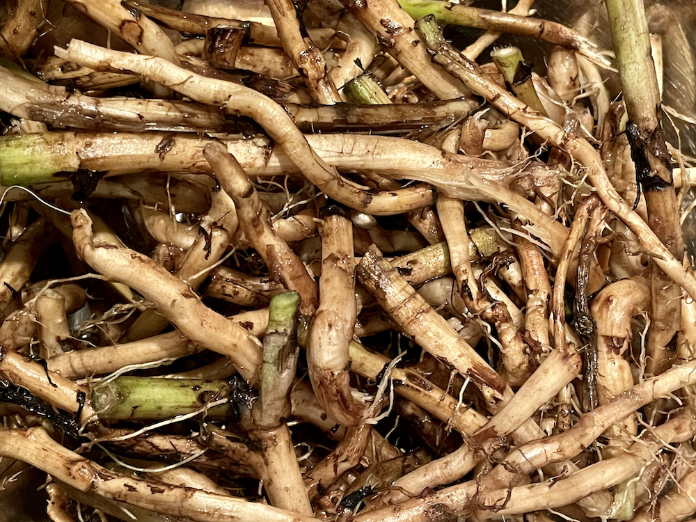 Subversive Goblins and Wabi-Sabi Hobbits – Seth M. Walker